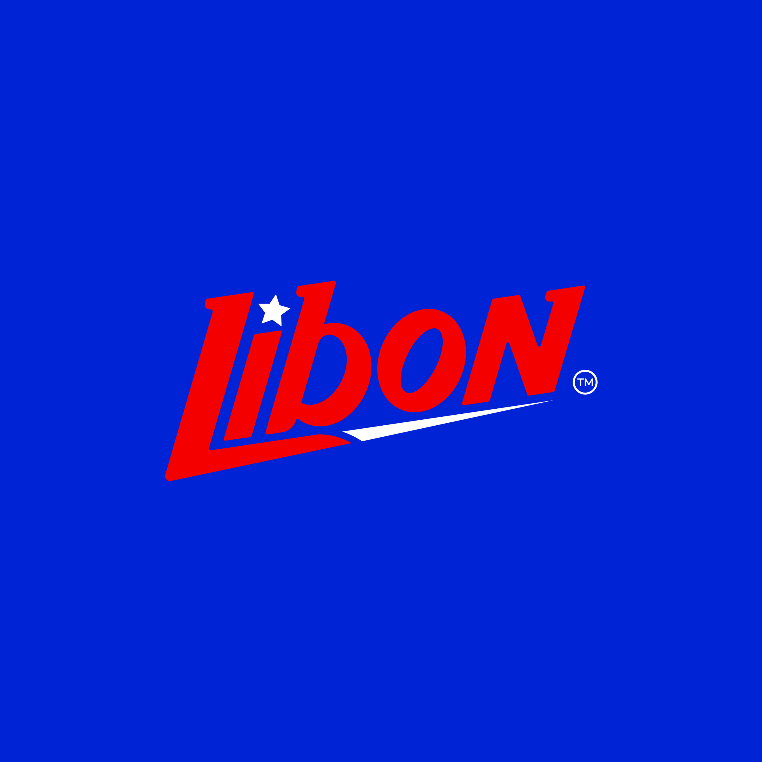 LIBON LOGO